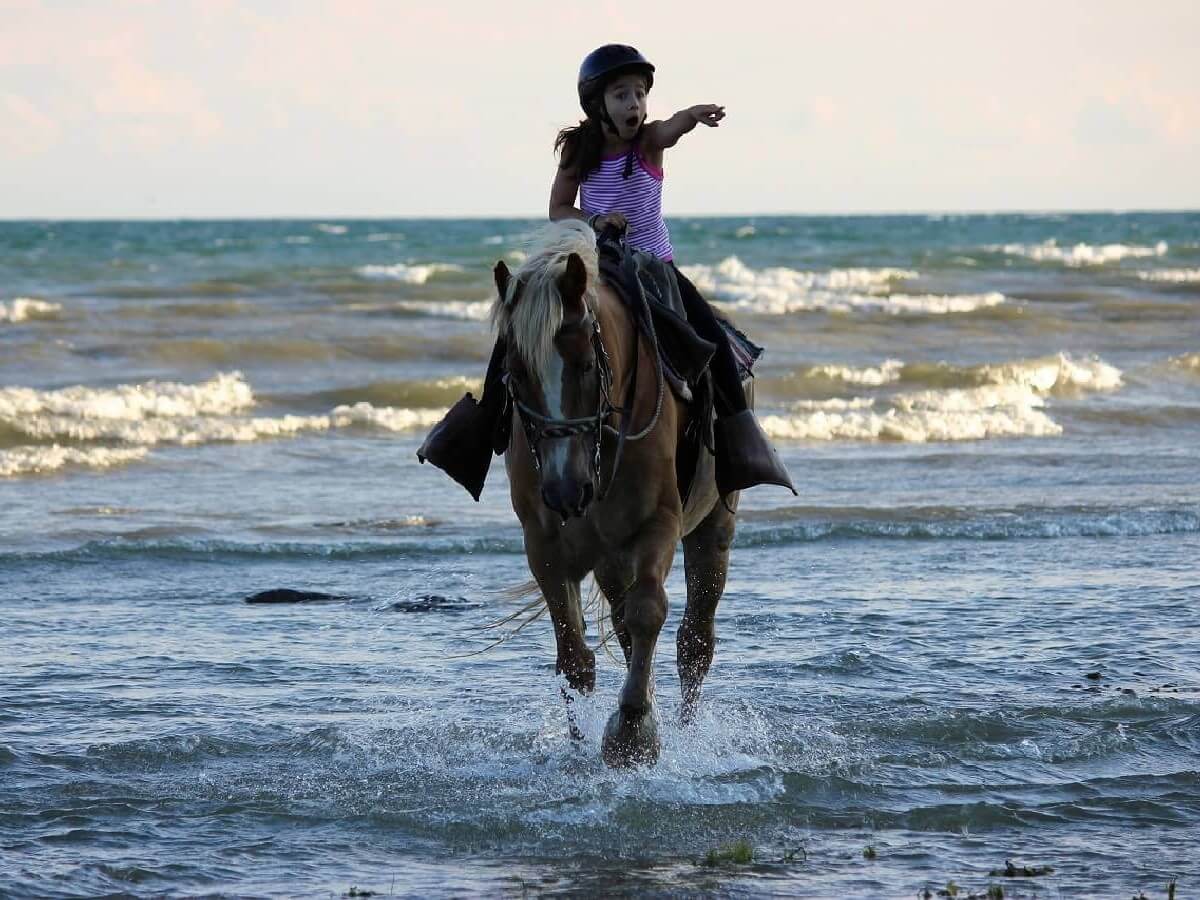 Home - Horseback Riding in Niagara, Ontario