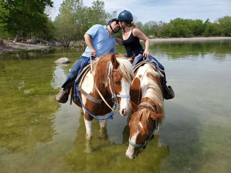 Home - Horseback Riding in Niagara, Ontario